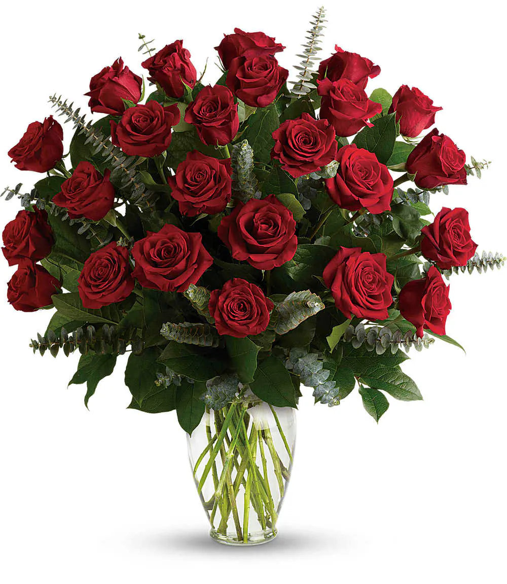 Springfield MA Same Day Rose Delivery | Roses Hand-Delivered by ...