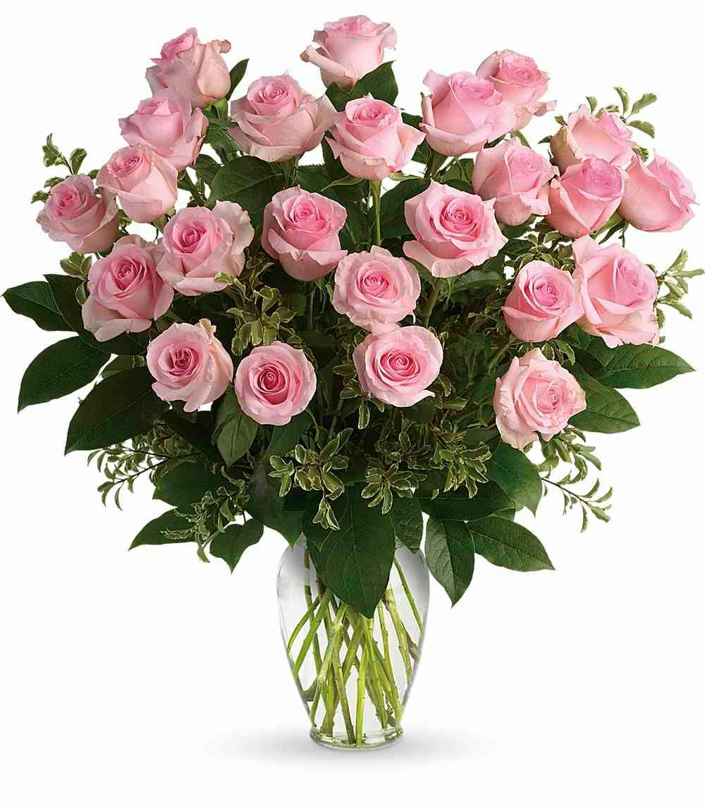 Long Stemmed Pink Roses